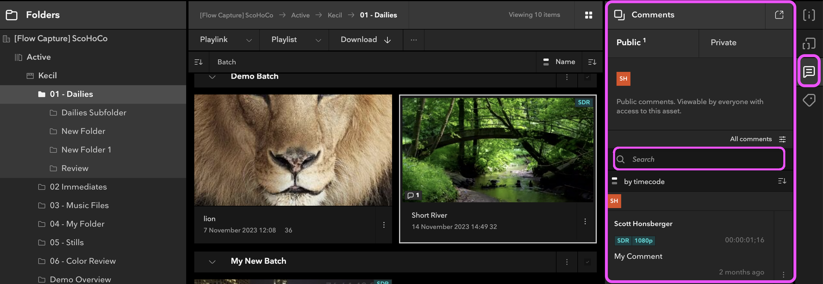 How to Search Comments in OA Flow Capture – Amazon Studios Technology